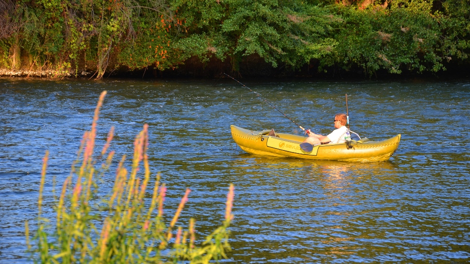 City of Rogue River - Home